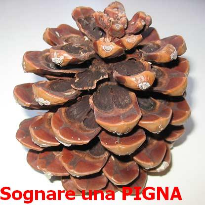 Sognare una PIGNA