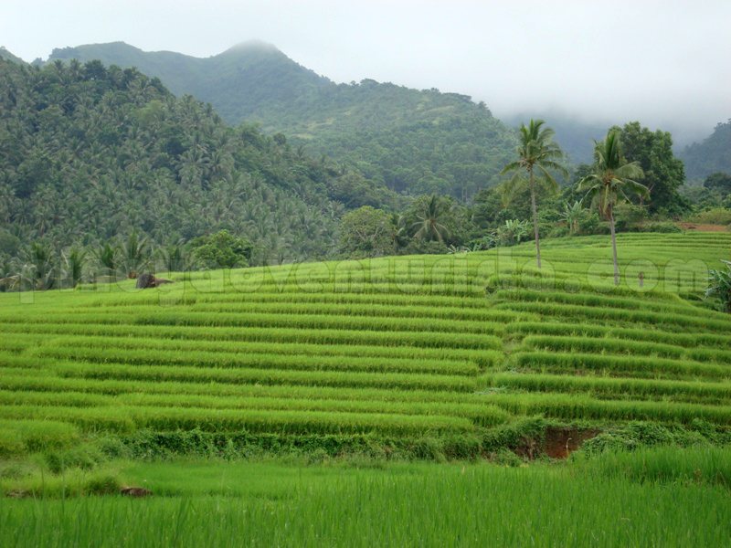 Biliran - Iyusan Rice Terraces and Mainit Hot Spring | Blogs, Travel ...