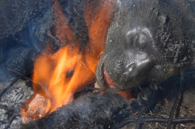 Funboot: Monkey’s Barbecue