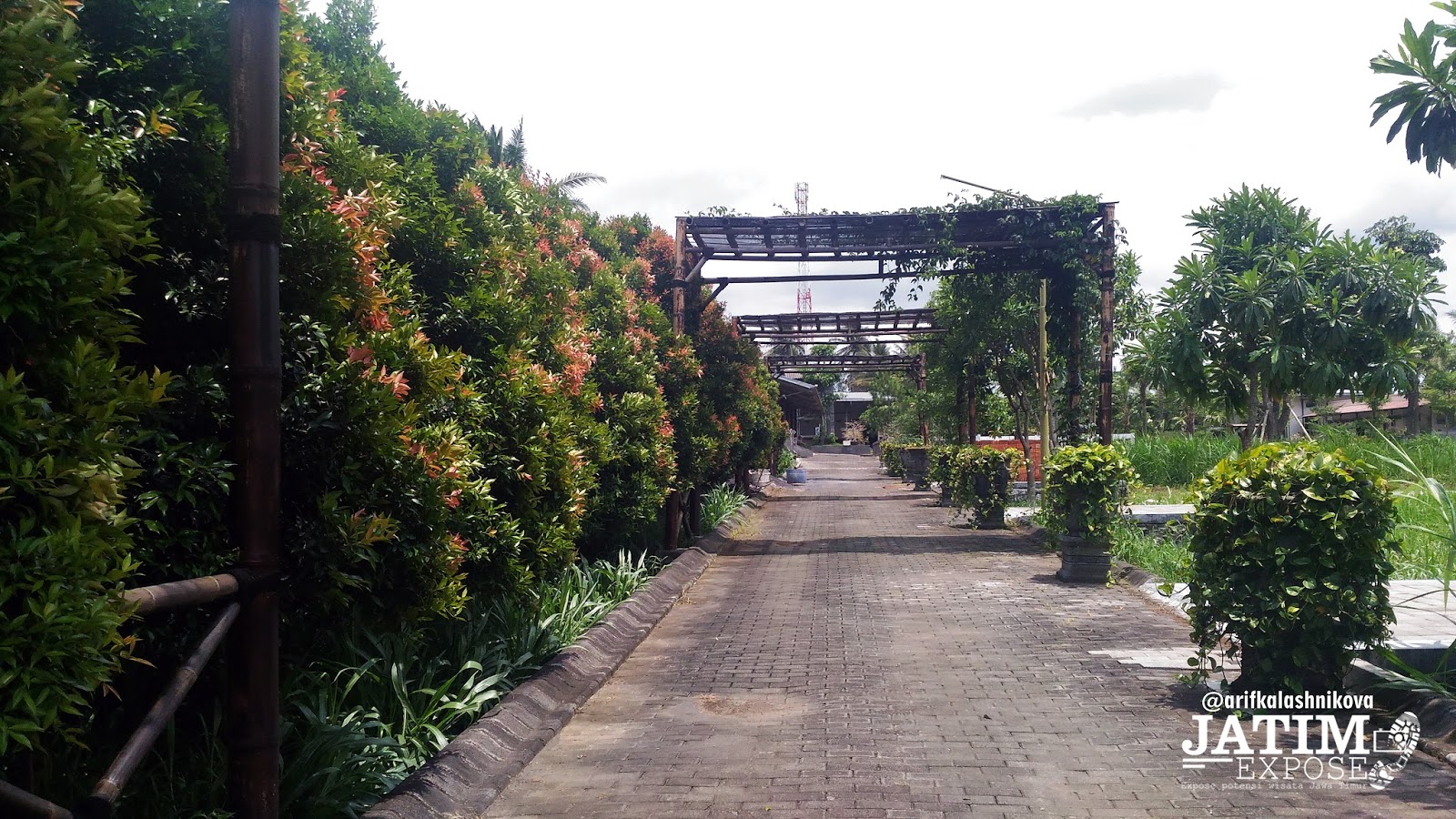 MY INSPIRATION: WISATA MILKINDO PETERNAKAN SAPI SUSU FANDA, Tegalsari ...