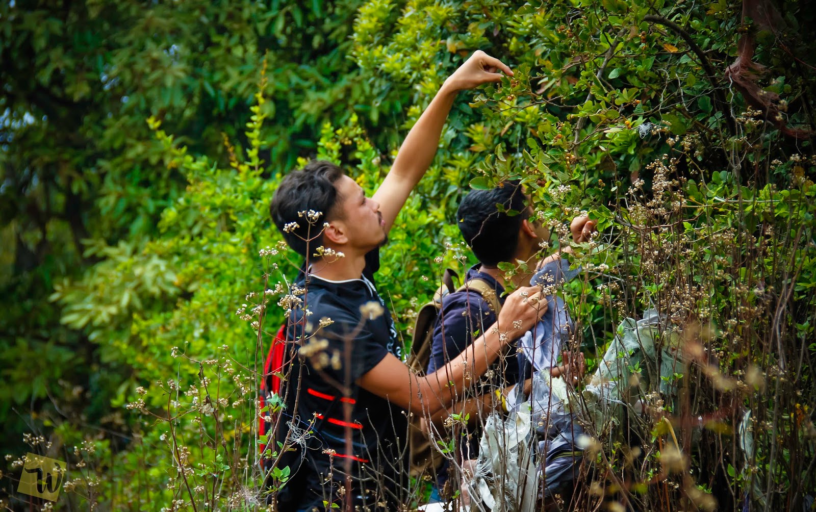 Hiking to Jamacho - Wondervibes