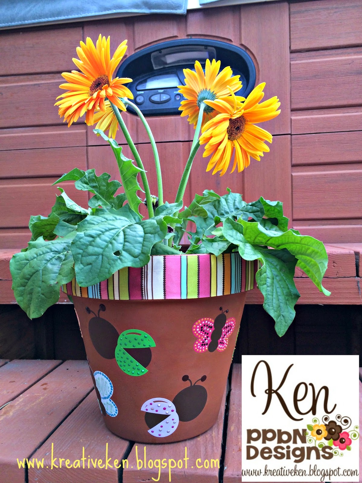 BUGS IN MY POTS | Ken's Kreations