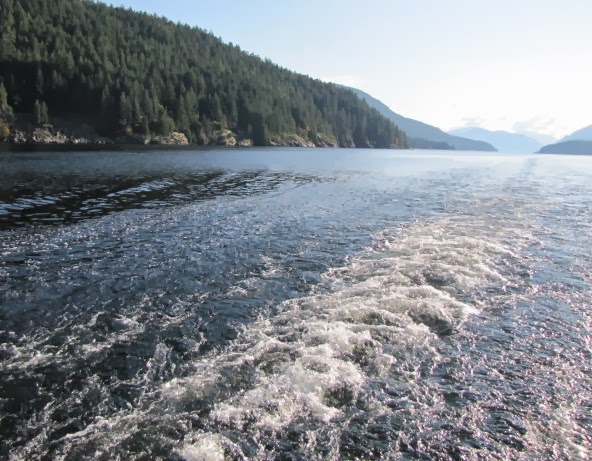 Millennium Dragon: A Day on Vancouver Islands West Coast - Travelling ...