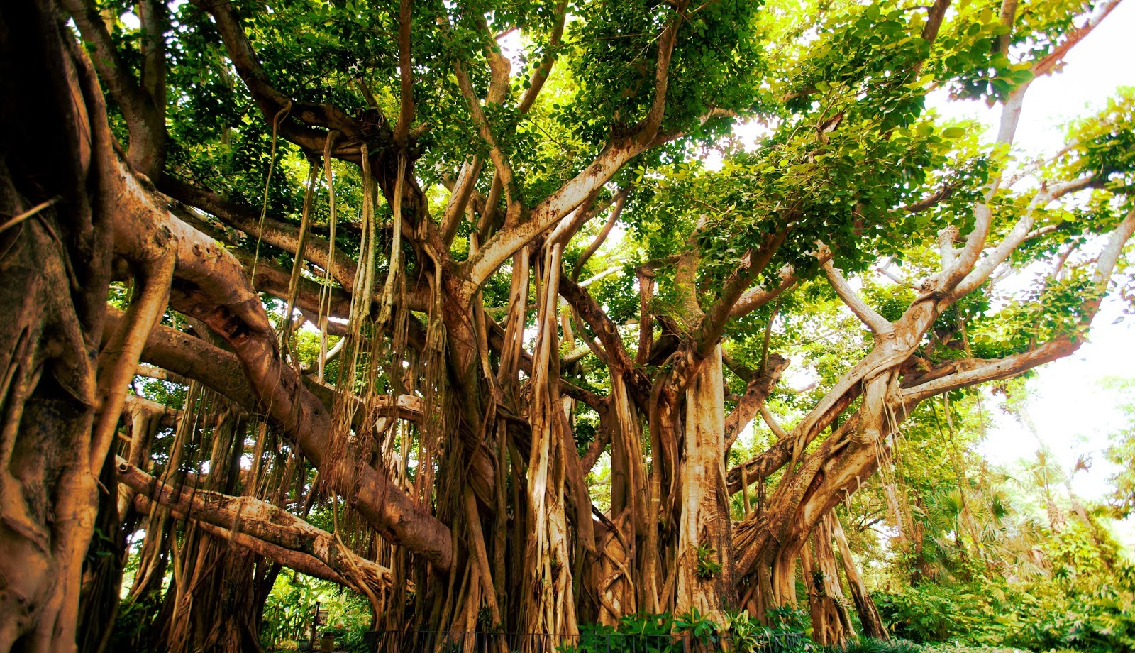 TOP 10 HAUNTED PLACES IN BANGALORE