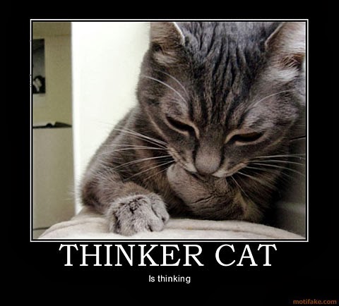 Most Famous Cats: Cute and Funny Cat Posters