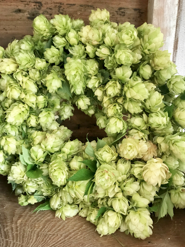 Little Farmstead: DIY Hops Wreath {Fall at the Farmhouse}