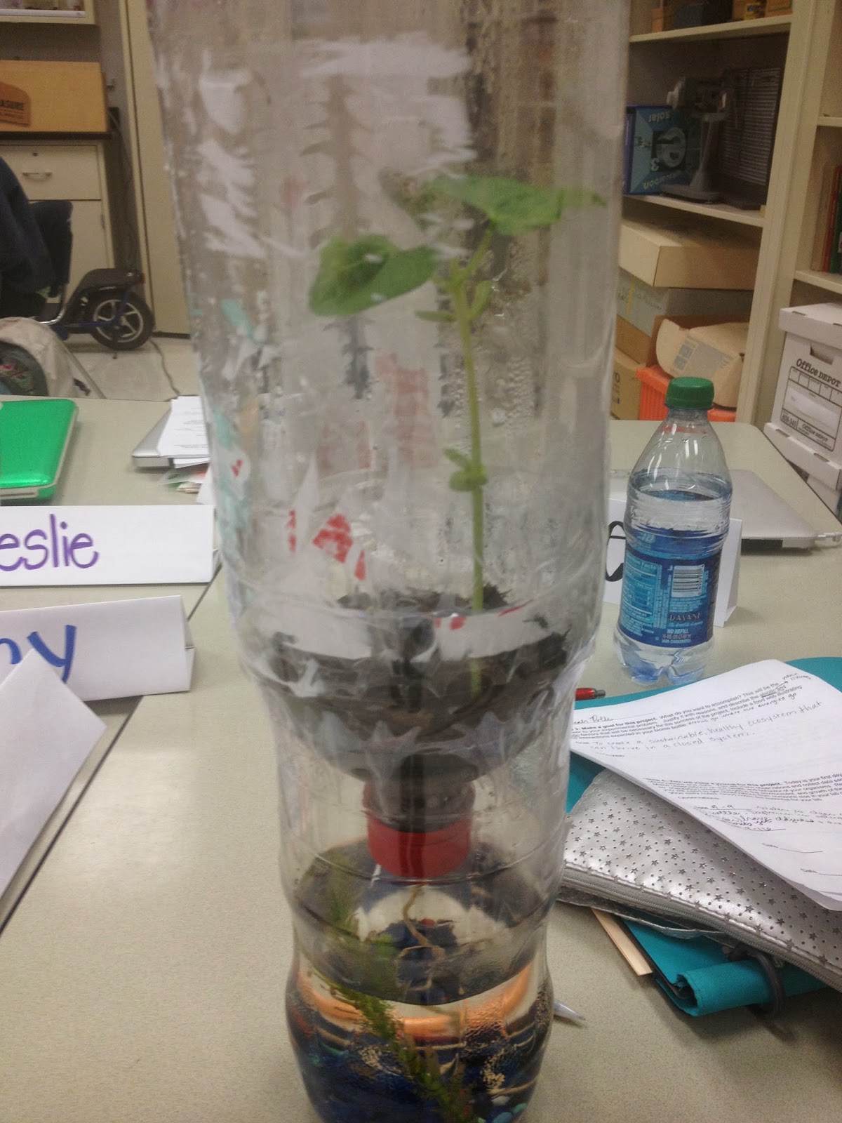 Ecosystem in a Bottle: Ecosystem in a Bottle: Week 2