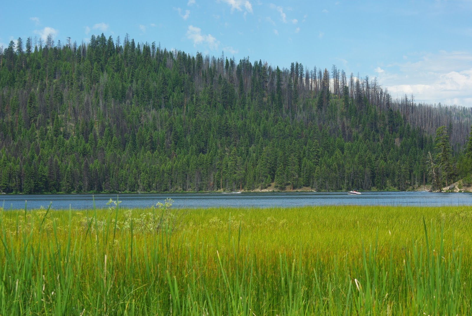 Dutch Love Family: Warm Lake, Cascade, Idaho