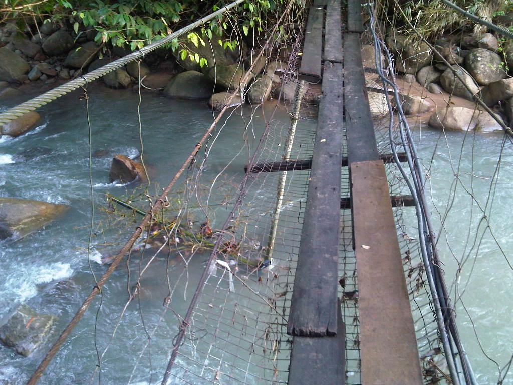Malaysians Must Know the TRUTH: MONKEY BRIDGE BY MONKEY PROMISE