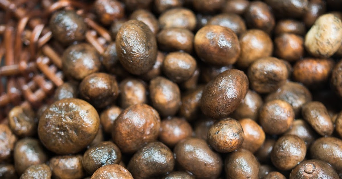 Tribal knowledge of mushroom in the Chotanagpur plateau