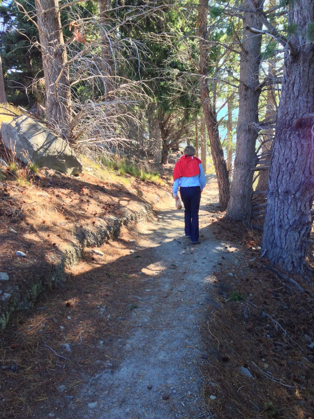 Come, walk with me.: Frankton Arm Walking track - Kelvin Peninsula