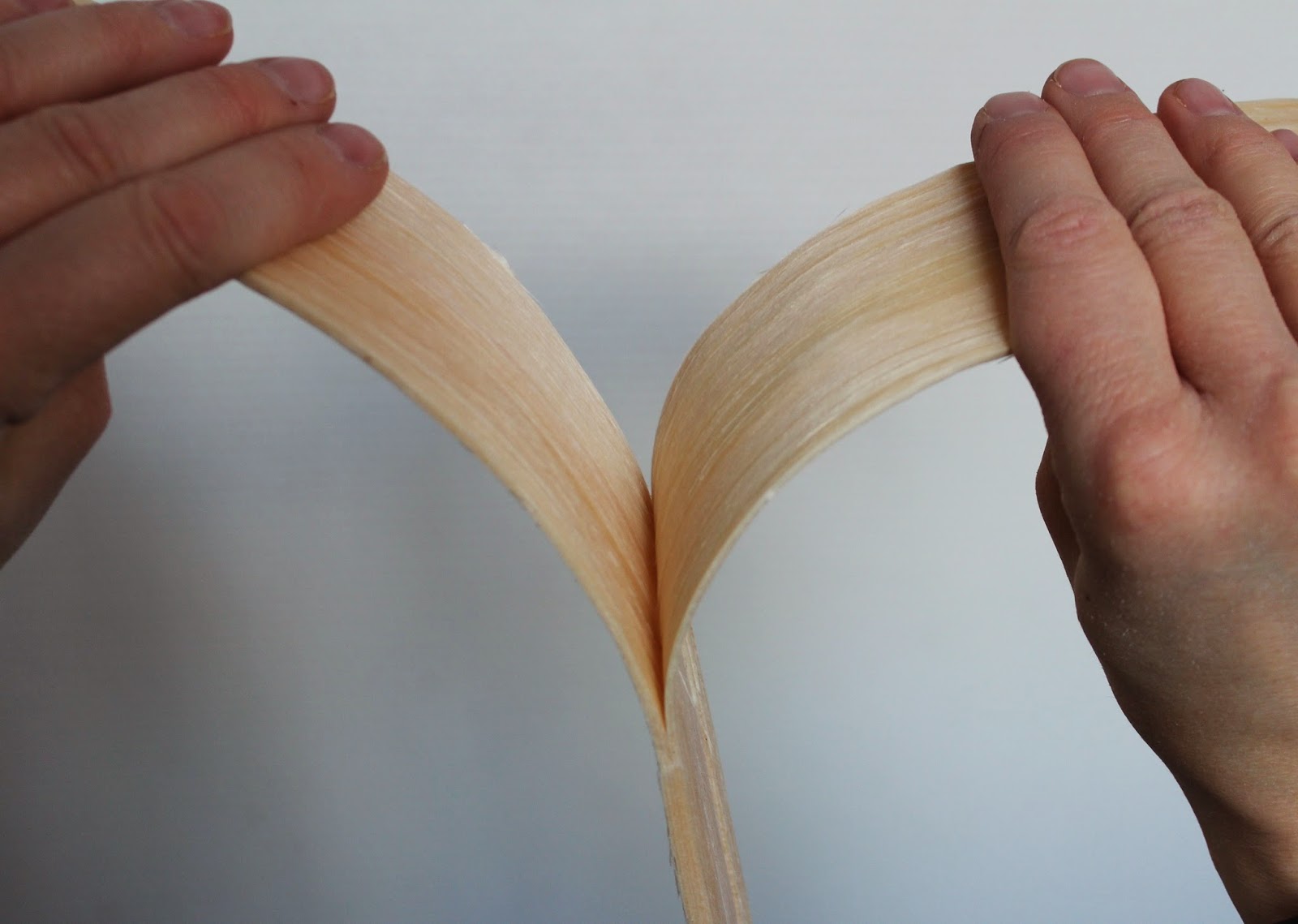 Pohjoisen luonnosta: Puusta päreeksi