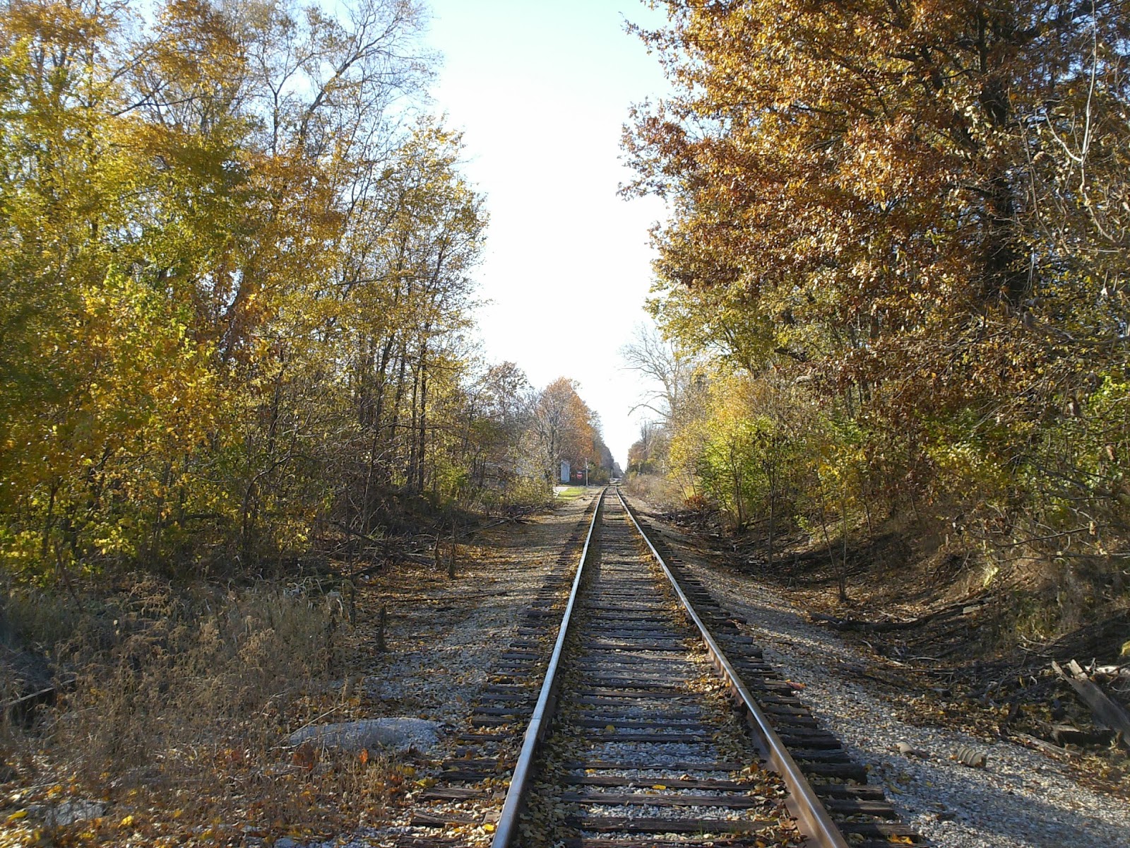 Clayton Cramer.: Oxford, Indiana