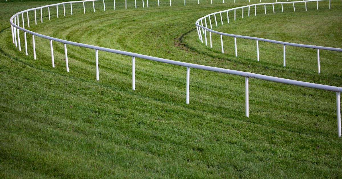 Functions Performed By The Racecourse Running Rail - My Aussie Hub