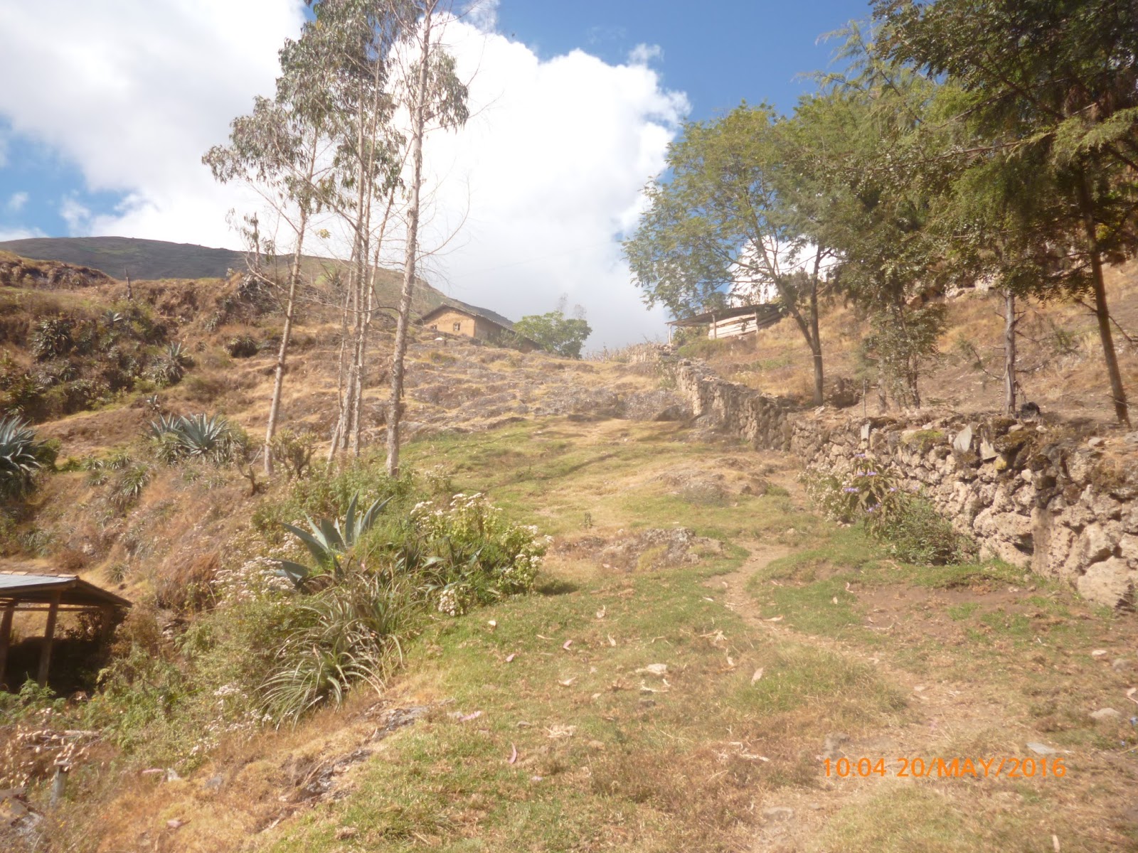 EL TOCASINO: DESCUBRE AMARU EN TOCAS