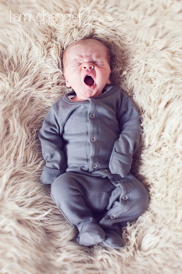 Tami Chandler Photography