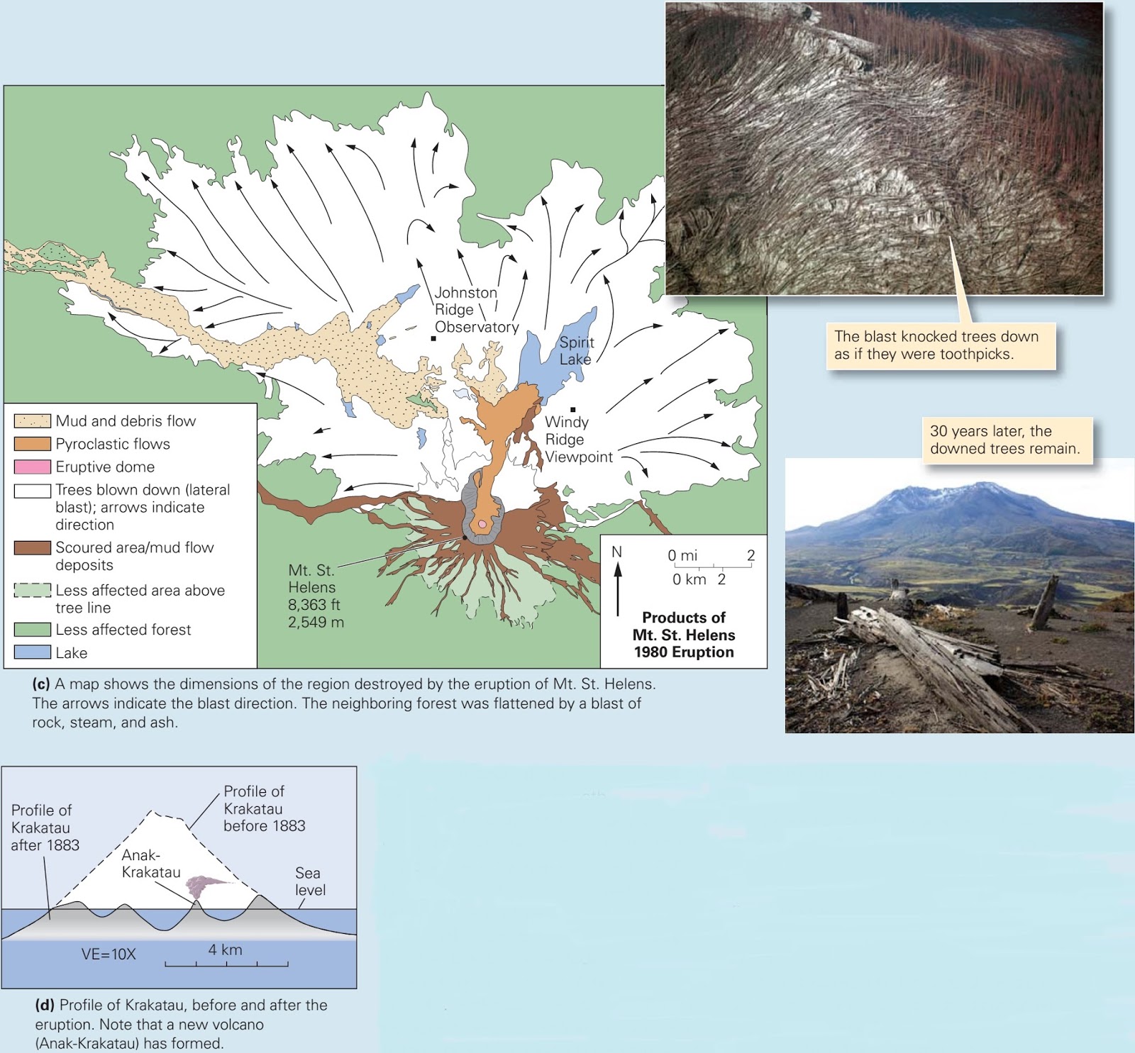 Learning Geology: Relation of Volcanism to Plate Tectonics