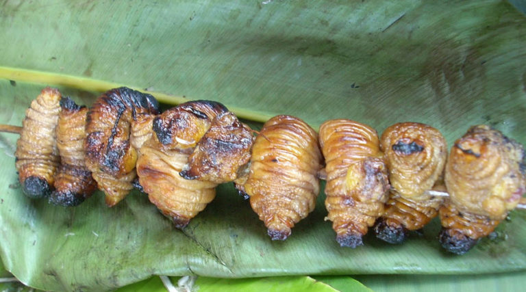 BROCHETAS DE SURI ~ GASTRONOMÍA DEL PERU