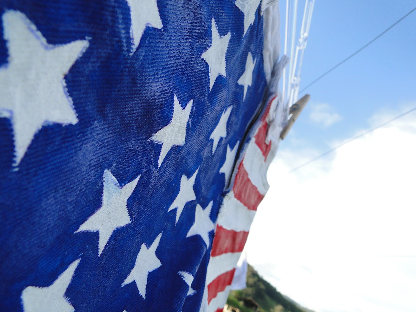 Bruna Lohn: Flag Shorts
