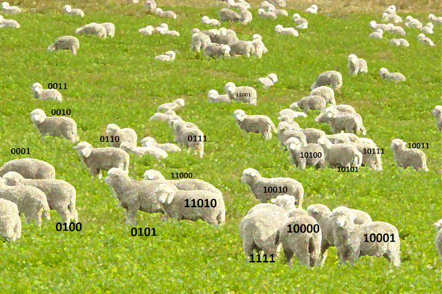 Lilit Yenokyan: How To count sheep in binary