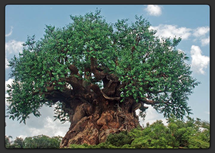 Art is Man's nature. Nature is god's art: The Tree of Life....