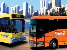 simply elixelle: 2011