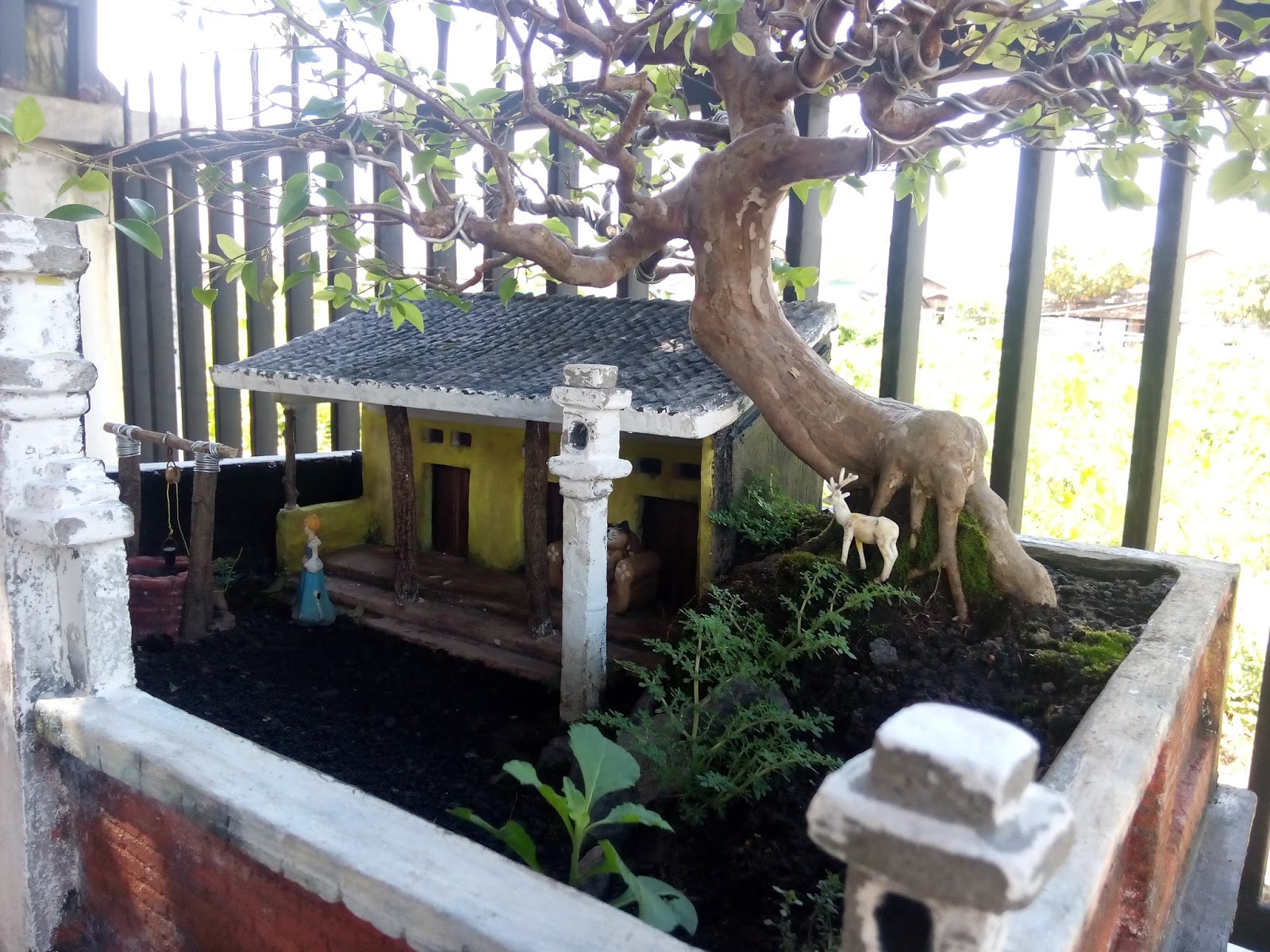 TANAMAN BONSAI BANJARMASIN: TANAMAN BONSAI KUPA LANDAK (ANGGUR BRAZIL)