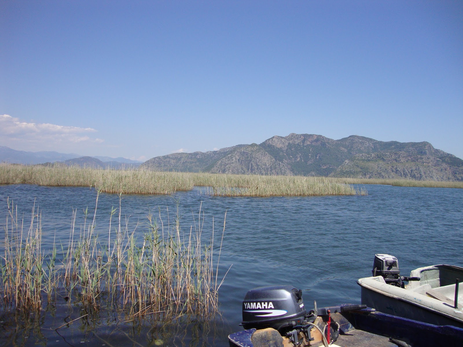 Sarah Demey: mijn kijk op het leven: Mens en natuur: plaats van de mens ...