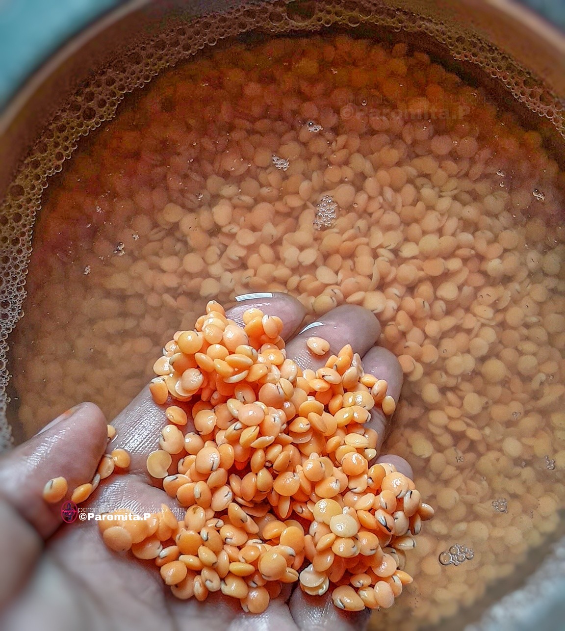 Chalta Dal - Paromita's Passions