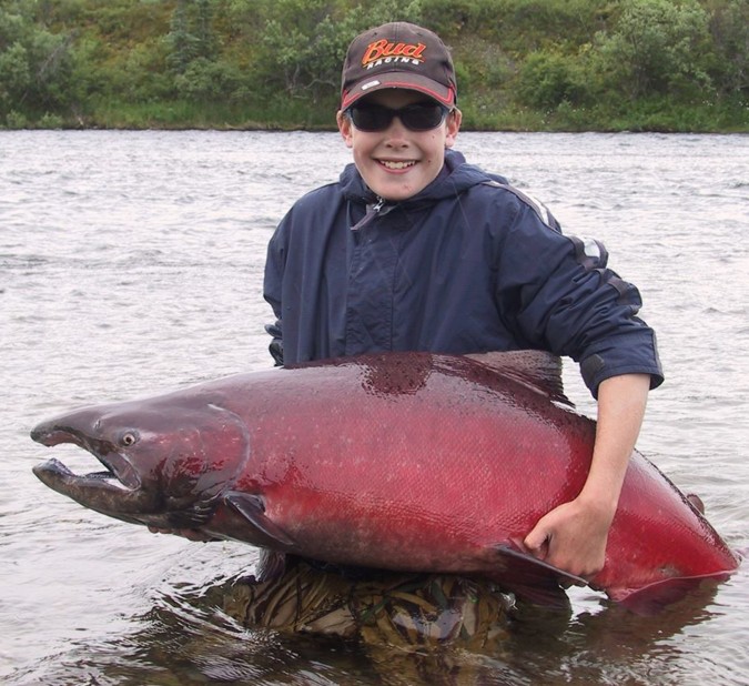 Giant Chinook Salmon