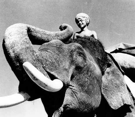 Lady Eve's Reel Life: ...aka/'Ann Newton' of "Shadow of a Doubt"