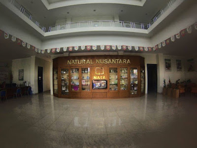 COMPANY PROFILE PT.NATURAL NUSANTARA YOGYAKARTA | Budidaya Sawit Unggul ...