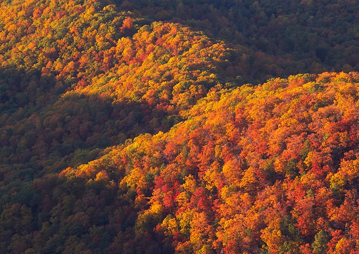 Shenandoah River, Blue Riidge Mountains and Northern Virginia Horse ...