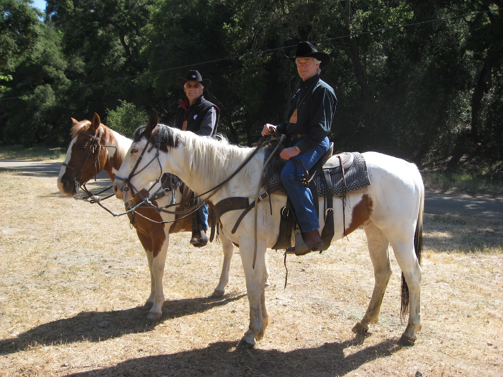 kp's round up: Rancheros Vistadores