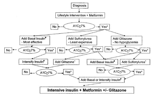 KAMPUS FARMASI: DIABETES Mellitus