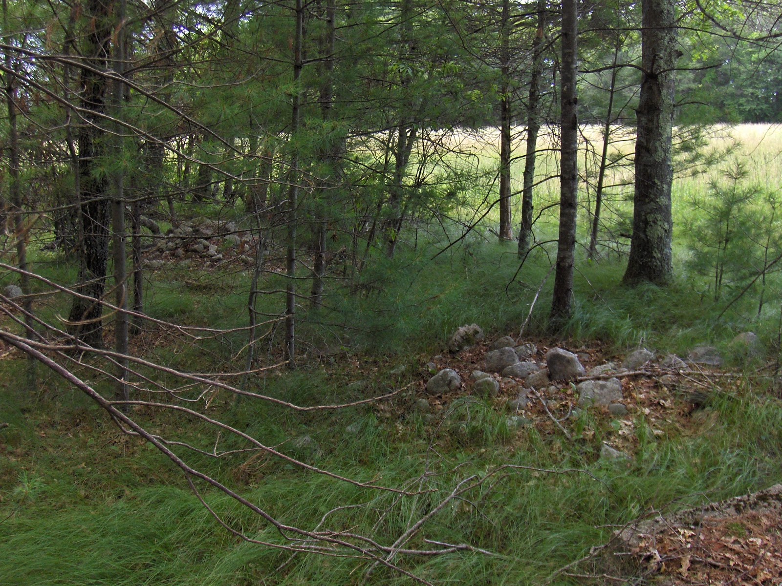 Rock Piles: Prettiest "Field Clearing" piles ever