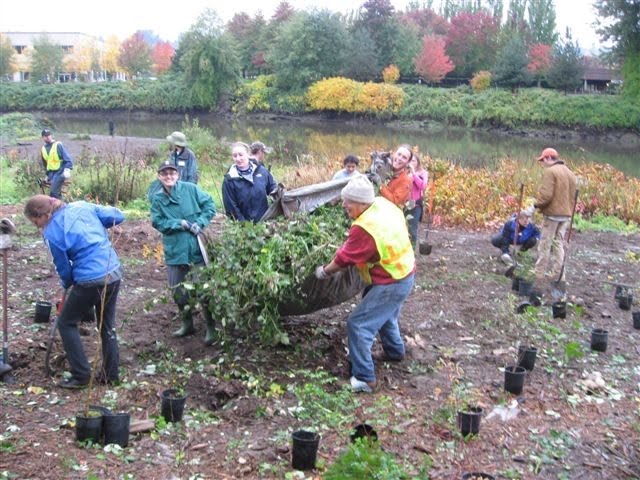 IBM Celebration of Service for Washington State: Event Details for ...