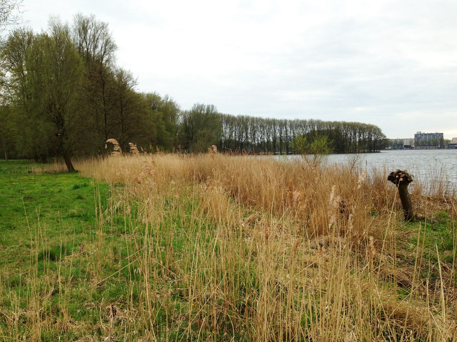 Running Routes: Amsterdam Sloterpark Running Route