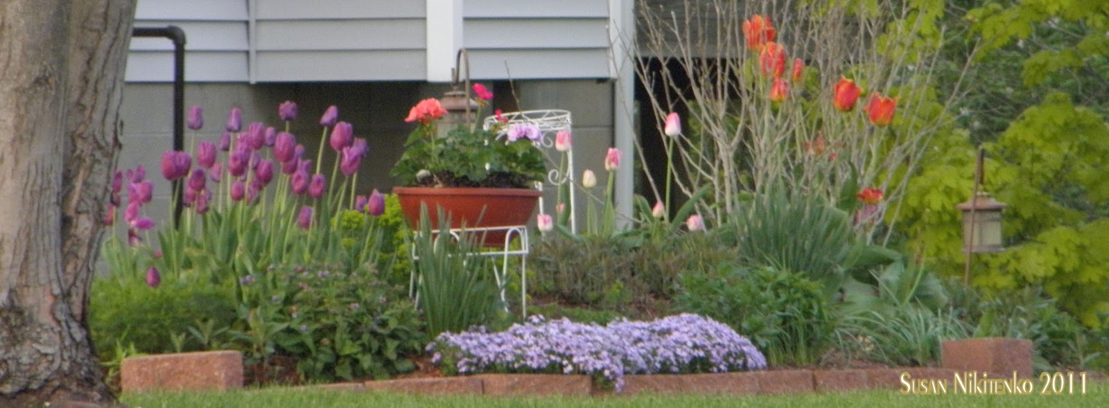 My Spring Garden In 2011