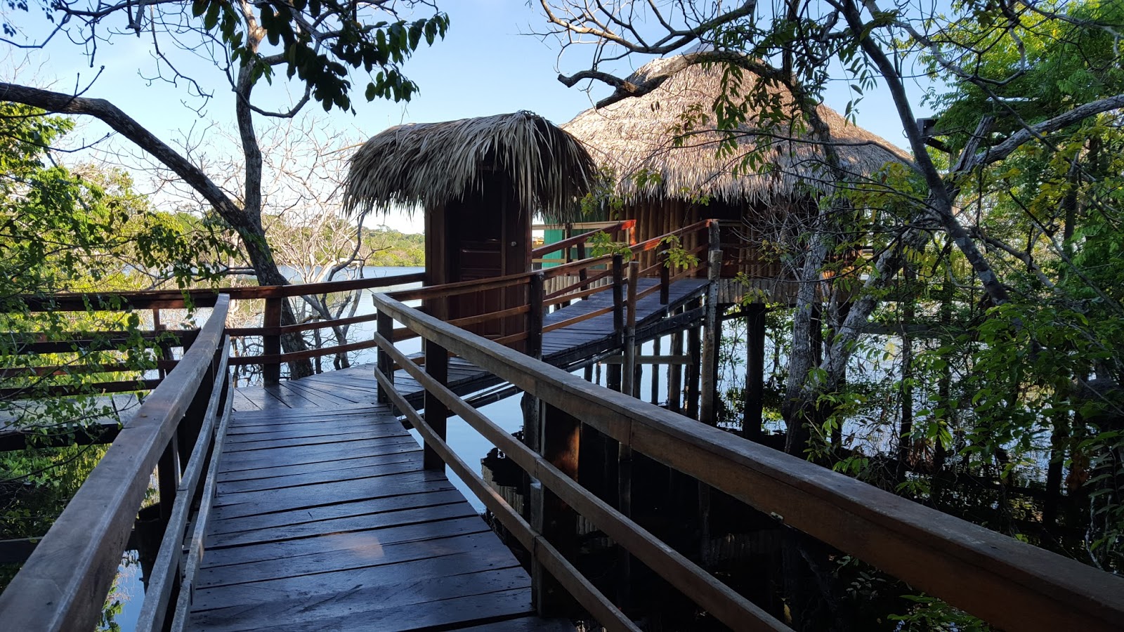 Juma Amazon Lodge: a primeira vez na Floresta Amazônica a gente nunca ...