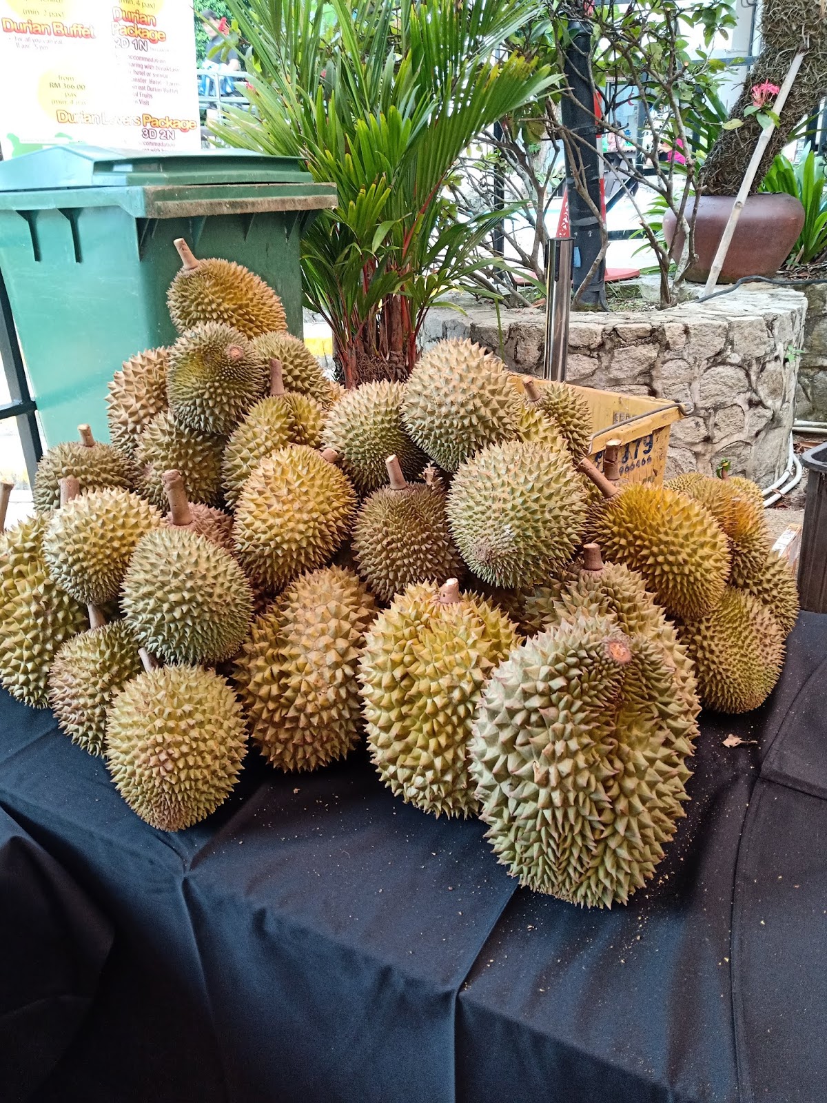 Durian Package - Back by Popular Demand Starting 6 May 2019 till 6 ...