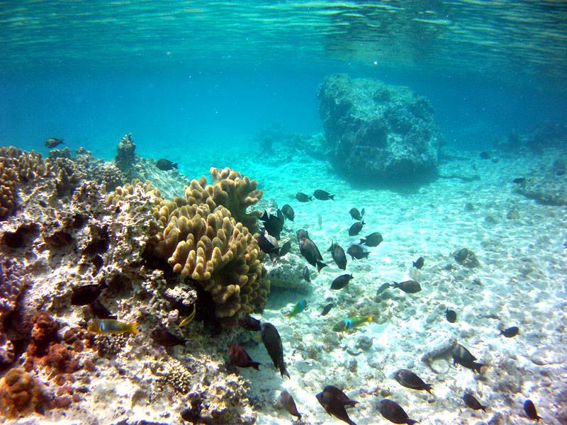 Visiter Okinawa Japon : Cape Maeda Point Okinawa