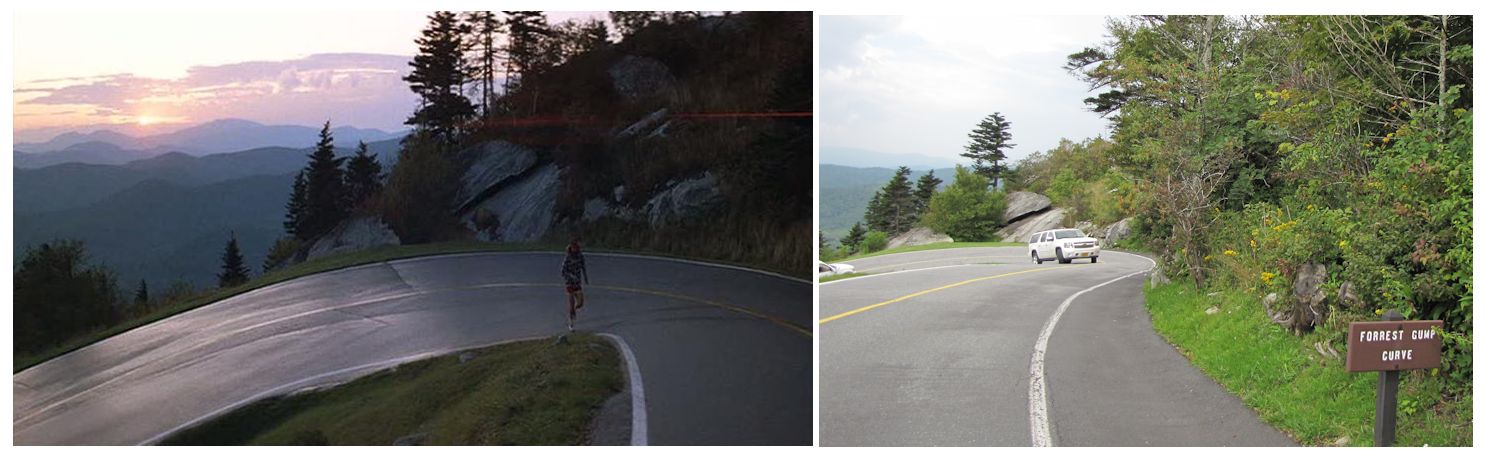 Femme au foyer: Grandfather Mountain and the mile high swinging bridge