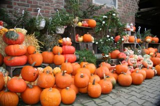 International food blog: GERMANY: Halloween QUICK LINK