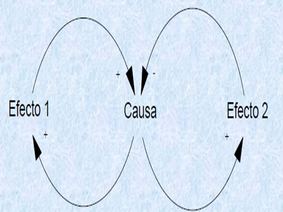 MODELO: DIAGRAMAS CAUSALES