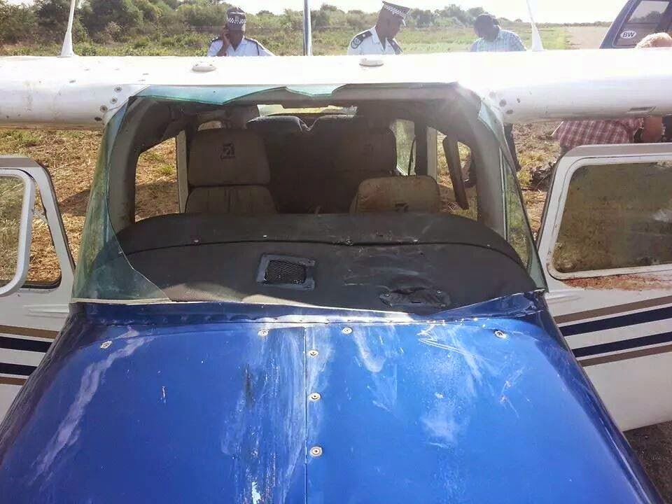 Canada Goose Strike - Backcountry Pilot