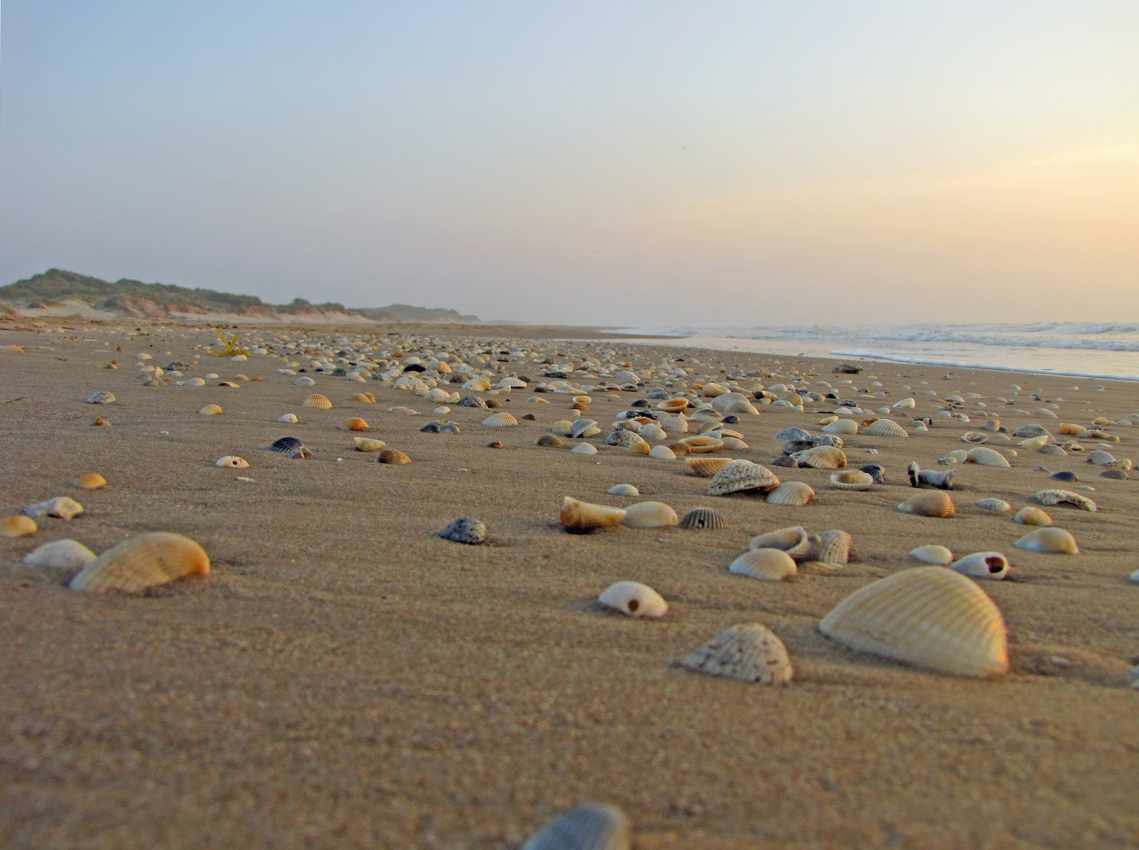 Seven Islands: The Remote Beaches of Padre Island