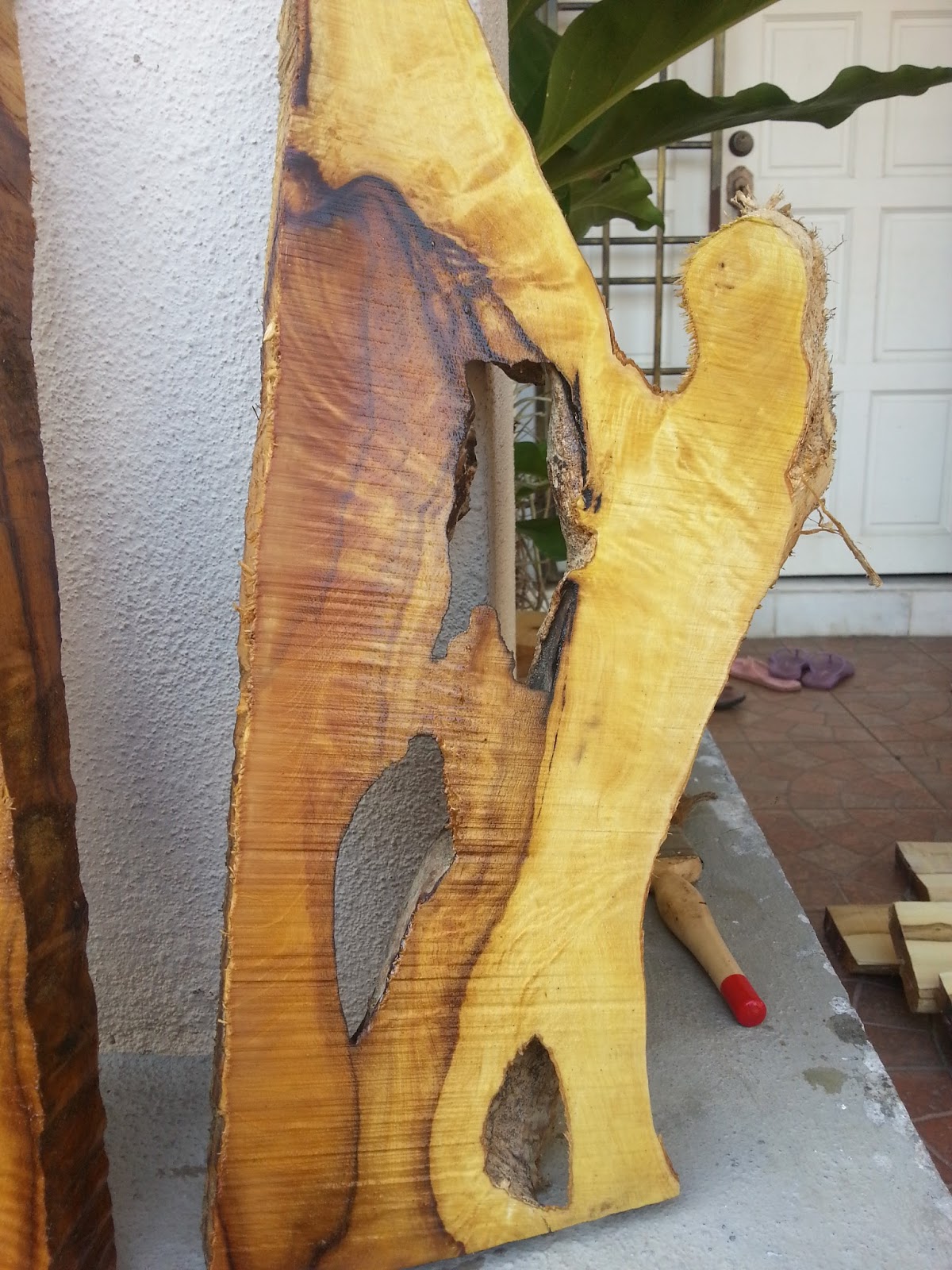 Kayu Warisan Malaysia: Kayu kemuning emas untuk dijual