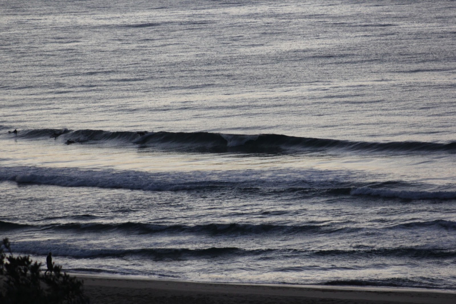 Shelly Beach Surf Report