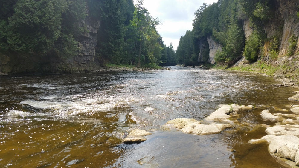 Toronto Grand Prix Tourist - A Toronto Blog: Elora Gorge - A Toronto Blog